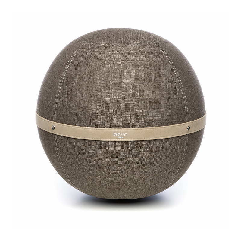 siège ballon ergonomique bloon original