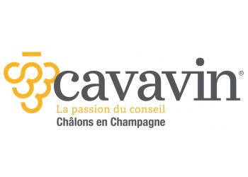 Marché - Laouar Fruits et légumes